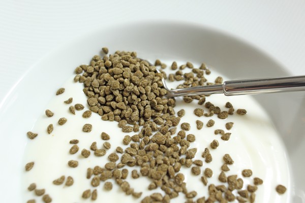 Crispy microalgae pieces - Sweets & Savoury Snacks World